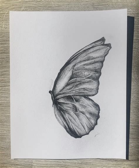 3d Butterfly Drawings In Pencil