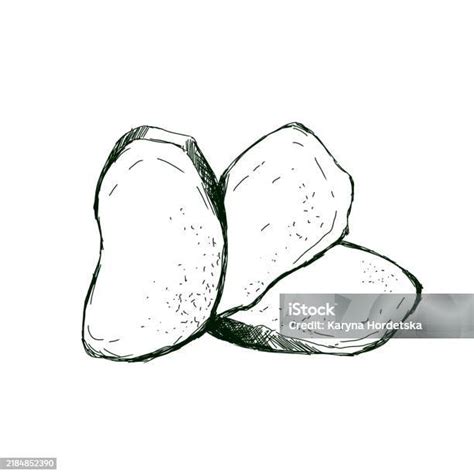 생강 뿌리 조각 신선한 조미료 평면도 그래픽 흑백 일러스트 스케치 낙서 인쇄 및 웹 디자인 0명에 대한 스톡 벡터 아트 및 기타 이미지 0명 건강한 식생활 공예