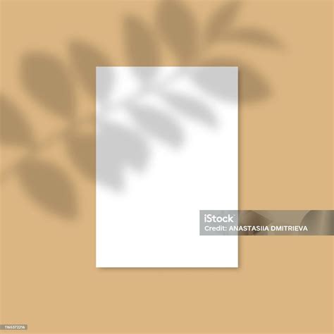 垂直 A4 紙張模型具有逼真的陰影覆蓋葉熱帶植物的向量陰影範本傳單 海報 空白向量圖形及更多明信片圖片 明信片 模板 A4紙 Istock