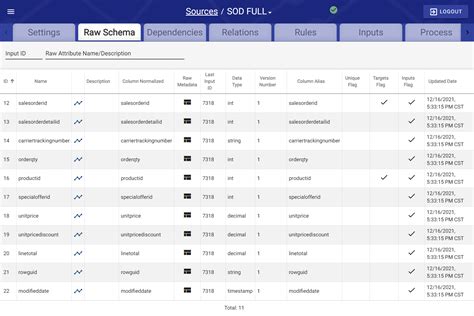 Raw Schema DataForge