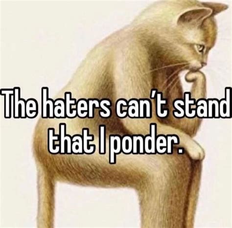 The Haters Cant Stand That Iponder Ifunny