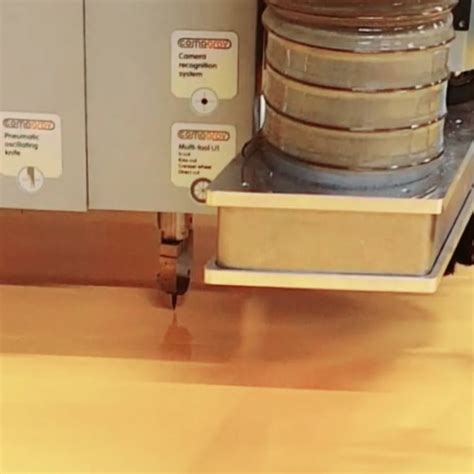 Tangential And Oscillation Cutting Bifrost