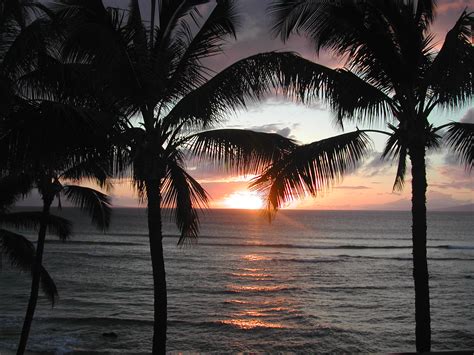 Olink Breakfast Symposium From Discovery To Quantified Cytokines Actionable Insights On The