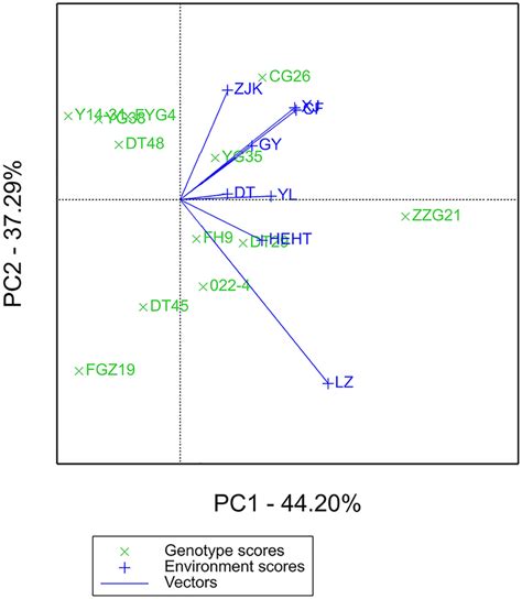 vector view of the gge biplot based on environment focused