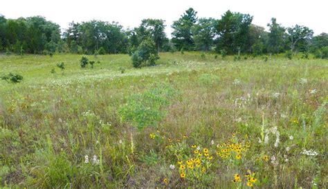 home driftless prairies native ecosystems