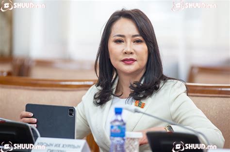 Гаалийн бүрдүүлэлтгүй нүүрс гаргасан компаниуд дунд УИХ ын гишүүн А Адьяасүрэнгийн хамааралтай