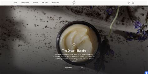 Beautiful ADA Compliant Websites 16 Inspiring Examples AccessiBe