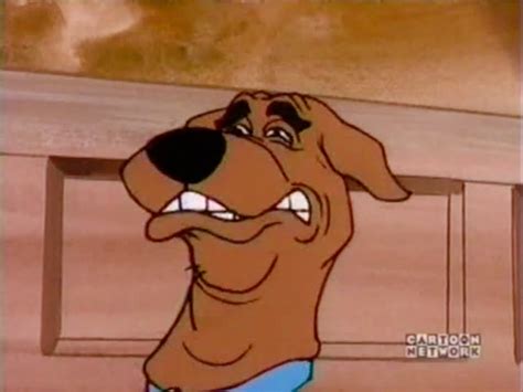 Everything Is Funny Just Look Closer™ — Scoobydoomistakes How To