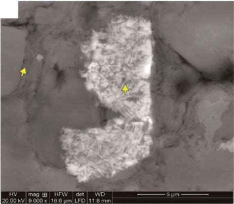 Sem Observation Reflecting The Pore System Of Es3 Shale A 4641 M