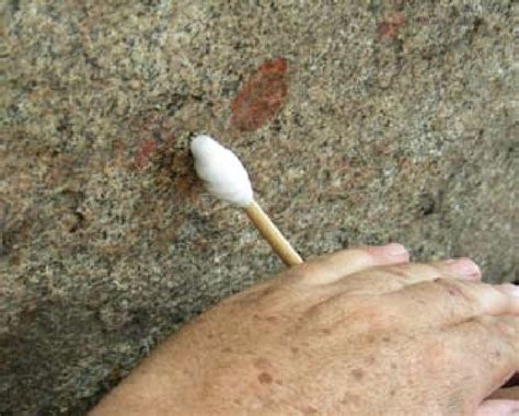 Rolling Poultice Or Moist Swab Technique Download Scientific Diagram