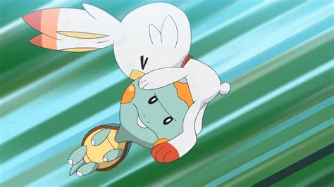 Filerocket Prize Master Chewtle Headbuttpng Bulbapedia The