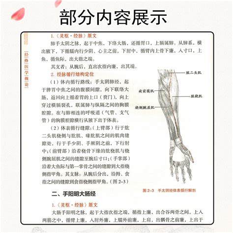 正版经络医学概论王居易著中国中医药出版社中医临床经络医学五行经络腧穴学穴位针灸基础入门自学书籍推拿按摩诊疗虎窝淘