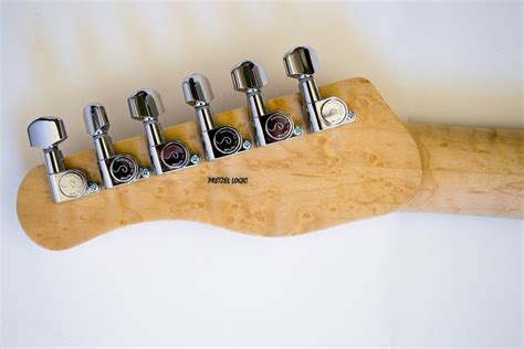 Pretzel Logic Ron Procopio Guitars