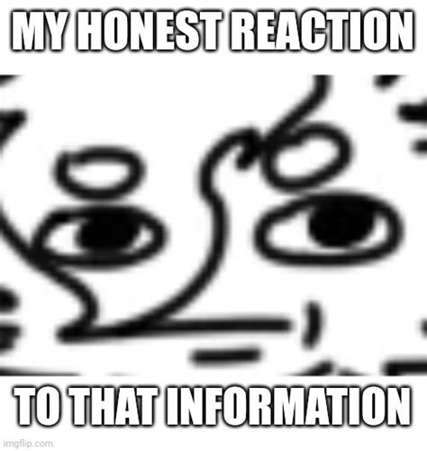 My Honest Reaction To That Information Imgflip