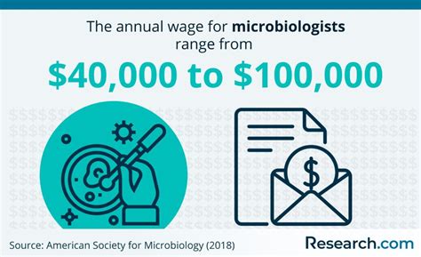 2026 List Of Stem Courses Factors To Consider Before Choosing A Stem