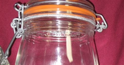 Craft With Confidence Glass Etching Tutorial
