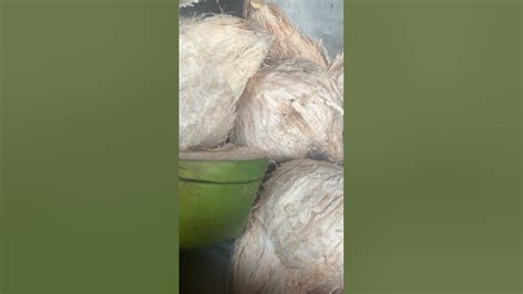 ដូងក្រអូប😋 Youtube