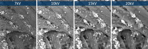 From Surface To Depth How Accelerating Voltage Affects Sem Imaging