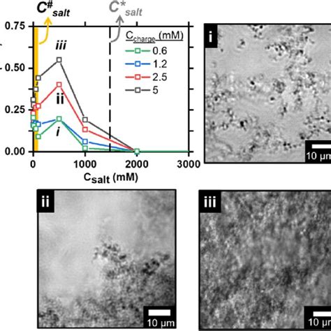 Morphologies Observed In Concentrated Polypeptide Mixtures With Added Download Scientific