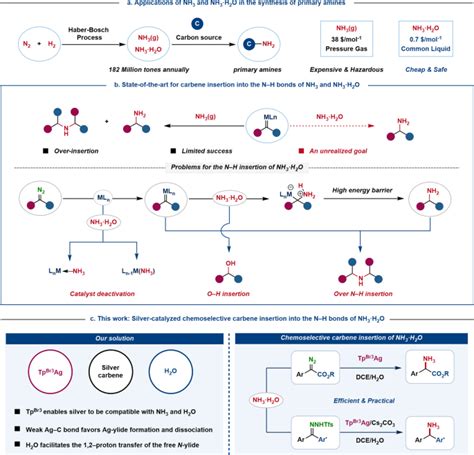 Chemoselective Carbene Insertion Into The N−h Bonds Of Nh3·h2onature