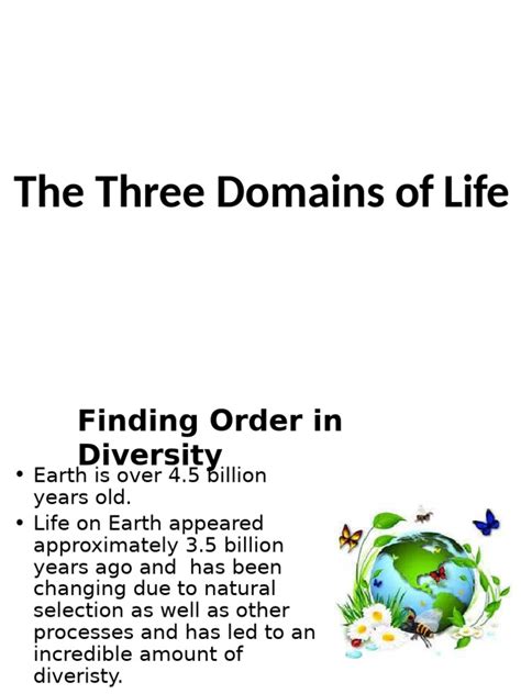 Classification System Pdf Phylogenetic Tree Organisms Classification System Pdf Phylogenetic Tree Organisms