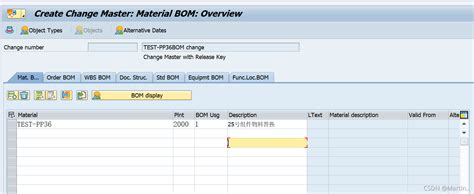 Pp实施经验分享（24）——ecn应用及系统操作sap Ecn Csdn博客
