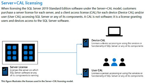 Csp Licença Microsoft Sql Server Standard 2019 Modelo Servidorcal Brlic Tecnologia