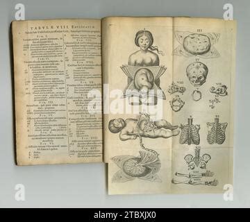 Rustic Journal Of Medicine An Old Anatomy Book With Its Pages On