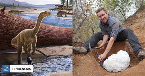 Encuentran El Fósil De Dinosaurio Más Antiguo De África Tiene 230
