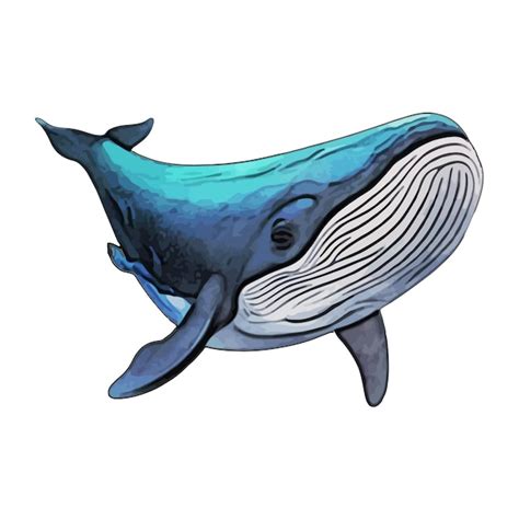 Ballena acuarela vector ilustración Vector Premium