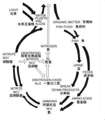硝酸盐 搜狗百科