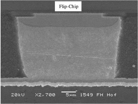 Chip Sem Image At Jonathan Middleton Blog