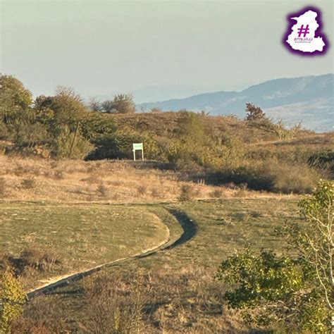 “სოფლის გაძლიერება იმ ახალგაზრდებს შეგვიძლია ვინც ვისწავლით და უკან