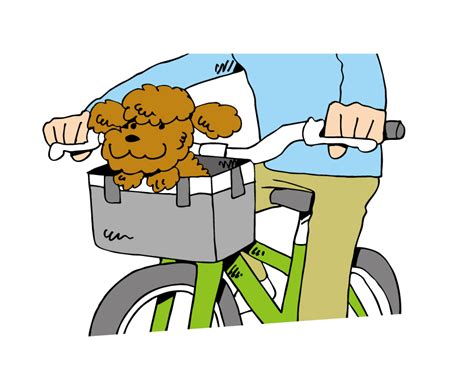 お手軽アウトドアを満喫 自転車犬
