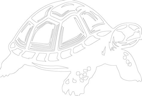 Tortoise Outline Silhouette 38491550 Vector Art At Vecteezy