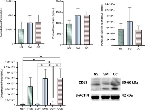 A Exocet Based Biochemical Quantification Of Exosomes Shows That