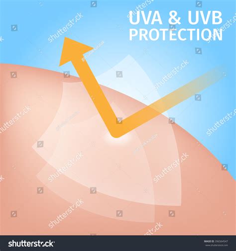 Uv Protection Skin Vector Icon Ultraviolet Stock Vector Shutterstock