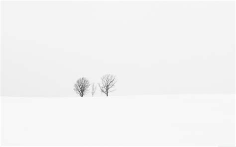 White 4k Pc Wallpapers Wallpaper Cave