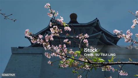 치앙카이섹 기념관 0명에 대한 스톡 사진 및 기타 이미지 0명 건물 외관 건축 Istock