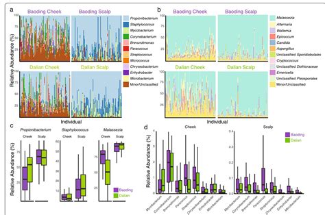Taxonomic Overview Of The Skin Microbiota Major A