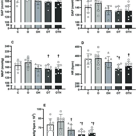 Hemodynamic And Cardiac Function Assessments A Systolic B Download Scientific Diagram