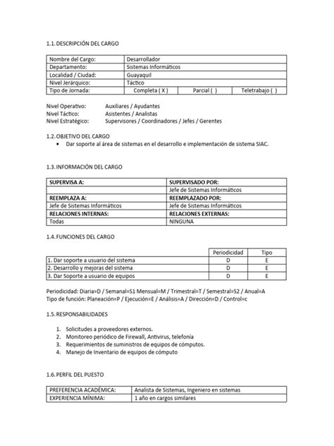 Desarrollador De Software Pdf Informática