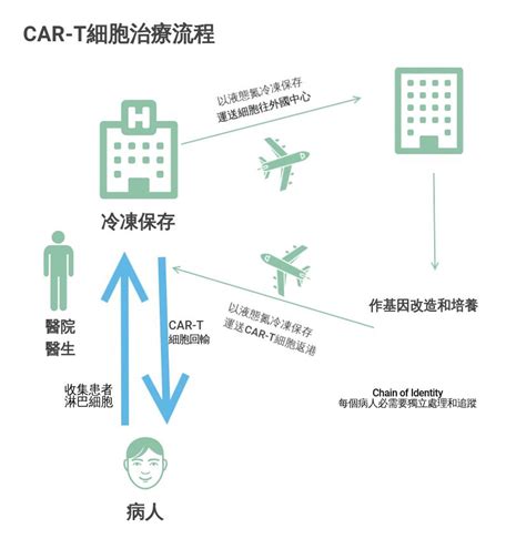 港大首引入活體藥物car T細胞治療 助沙排港將劉梓浩戰勝血癌｜醫師easy