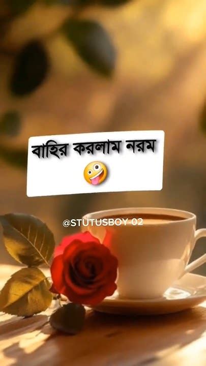 বাহির করলাম নরম 🤪 Love Video Sad Shorts Youtube