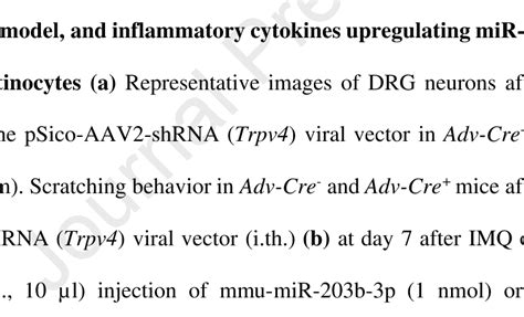 Selective Primary Sensory Neurons Trpv4 Silencing For The Regulation Of