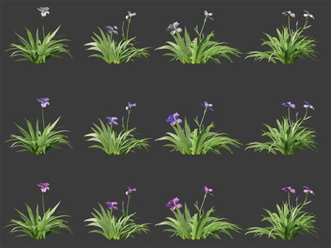 Artstation Iris Tectorum Roof Iris Resources