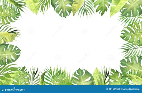 Watercolor Border Frame Green Tropical Leaves Monstera Palm Tree
