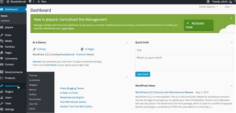 What Is The Wordpress Customizer Angiemakes