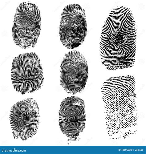 Set Of Fingerprints Vector Illustration Stock Vector Illustration Of