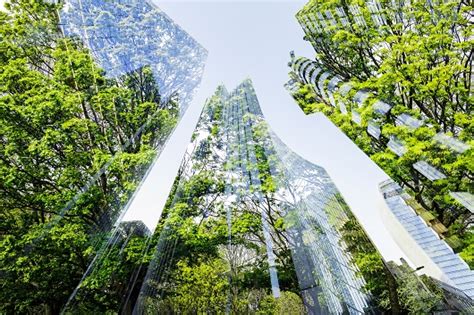 Las Edificaciones Y Su Impacto Ambiental Seccion Noticias